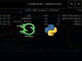 How To Build A Wifi Scanner In Python Using Scapy The Python Code