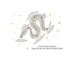 Practices Of The Python Pro Dane Hillard