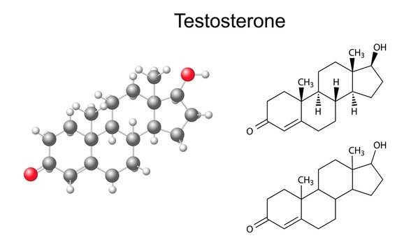 Testosterone, Dopamine, Problem Gambling, and YOUR News - The Real Press