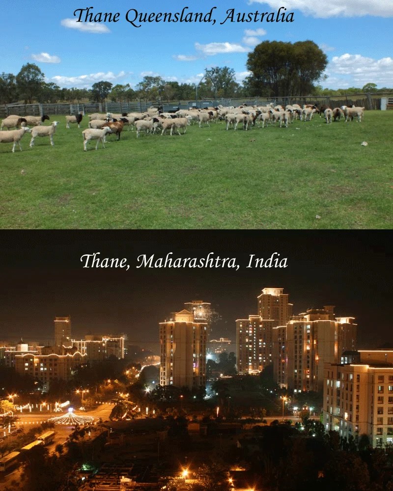 thane – Thereviewstories