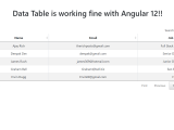 Angular 13 Datatable With Spring Boot Web Api Data Therichpost