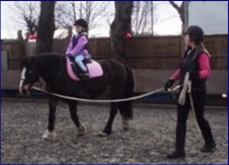 Teaching the Basics - Longing - The Riding Instructor