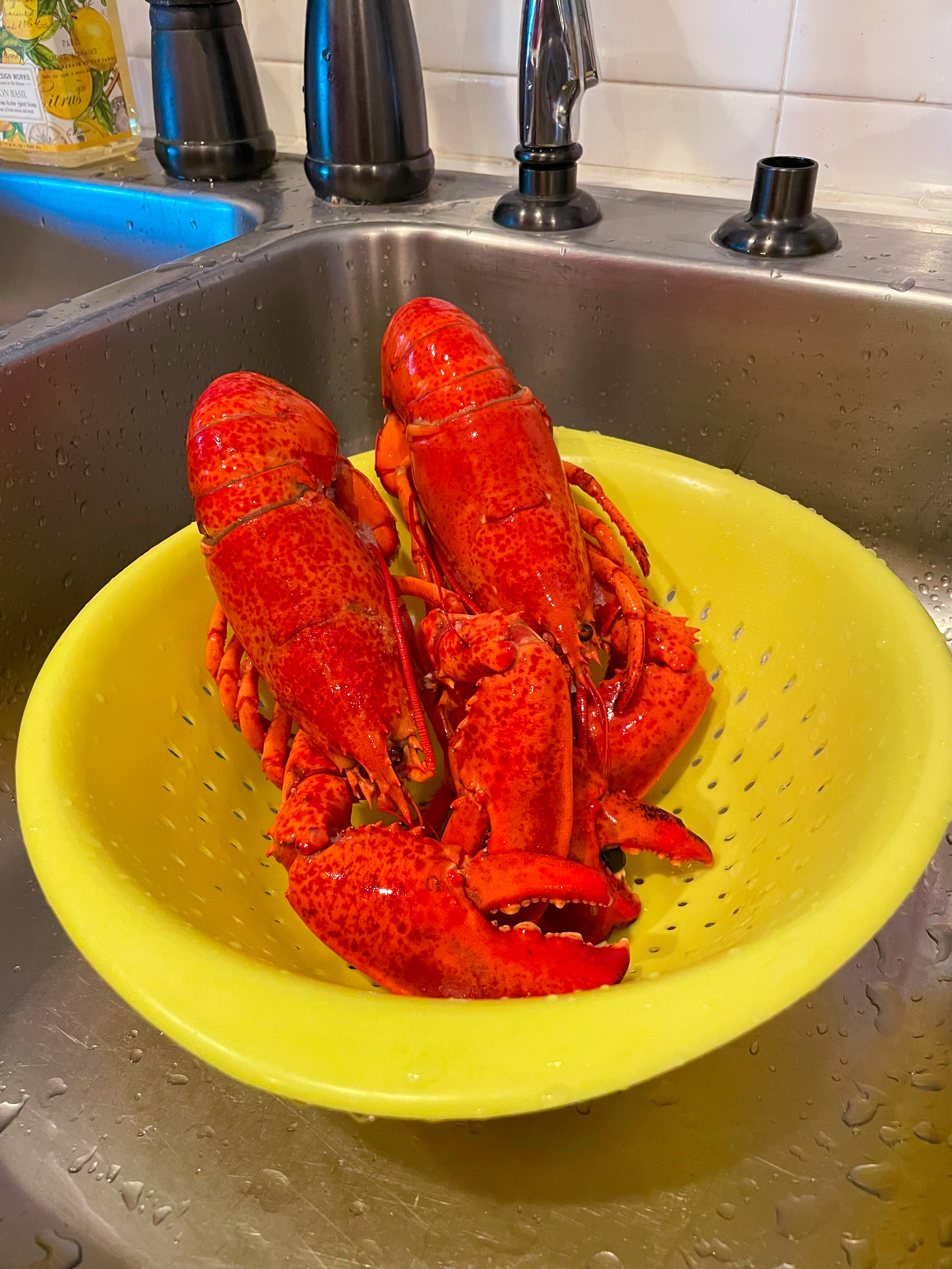 Lakeside Lobster - The Rose Table