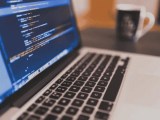 The Royal Coding Learn And Share Expert Coding Insights