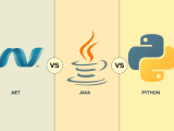 Java Vs Net Vs Python Which One Is The Best The Run Time