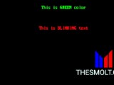 How To Write C Programming Code For Blinking Text Particular On Screen