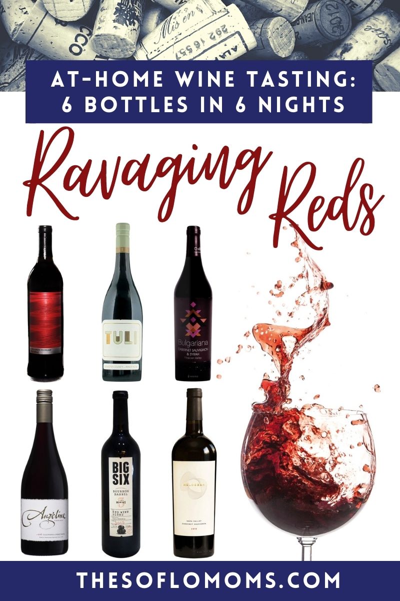 At-home Wine Tasting: 6 Wine Bottles in 6 Nights - thesoflomoms.com