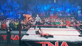 In Praise of the Moonsault – The Spectacle of Excess