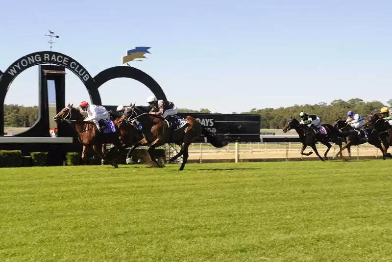 Wyong Tip Sheet & Staking Plan: Wednesday 20th January | The Sporting Base