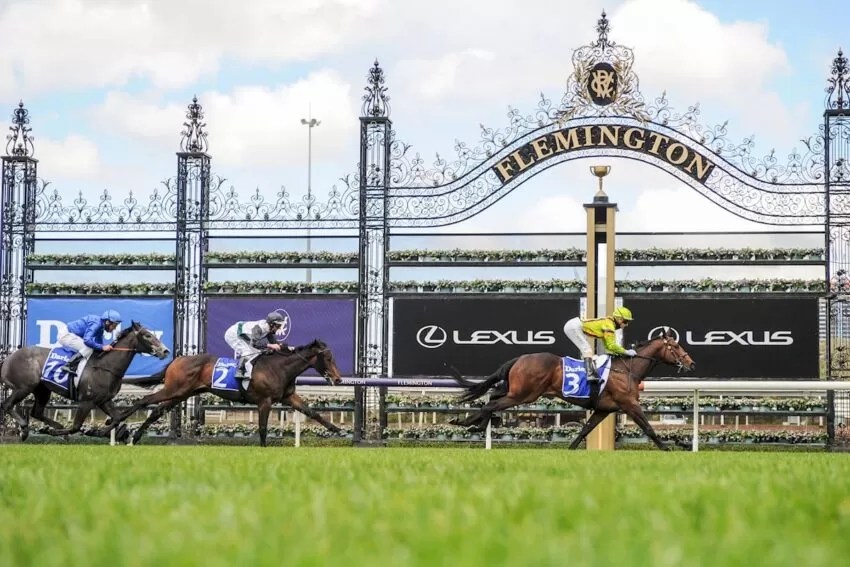FREE: Flemington Tip Sheet & Staking Plan: Saturday 20th May | The ...