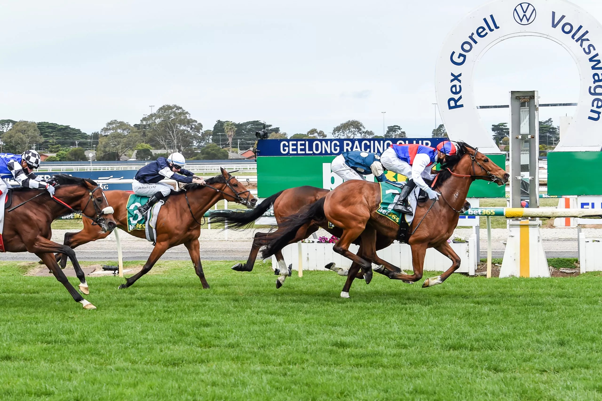 FREE: Geelong Tip Sheet & Staking Plan: Wednesday 13th April | The ...