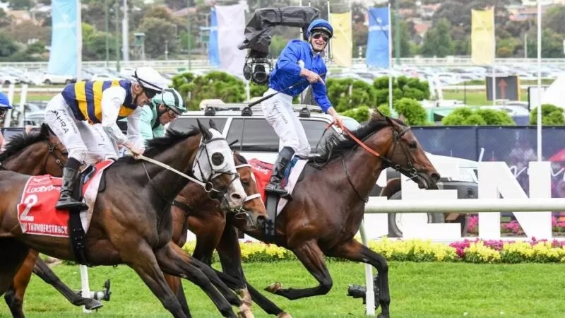 Opinion: Should Anamoe Take On The World? | The Sporting Base