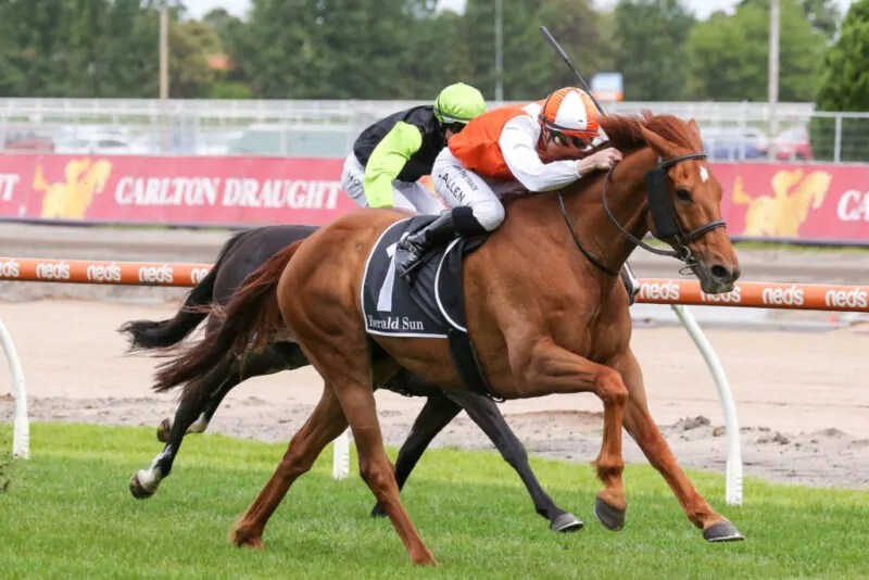 OPINION: Spring Carnival Needs A Revamp | The Sporting Base