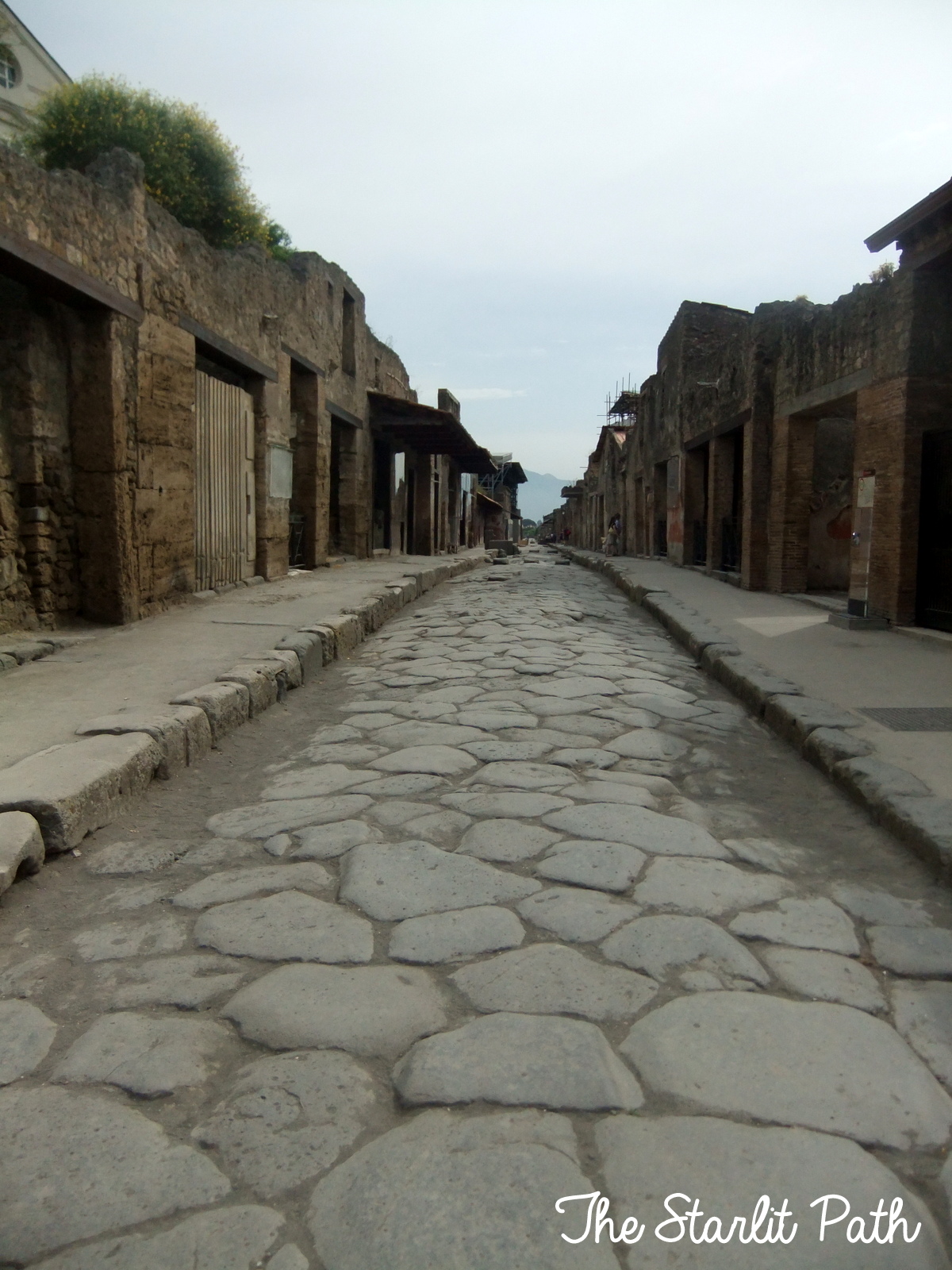 South African In: Pompeii – The Starlit Path