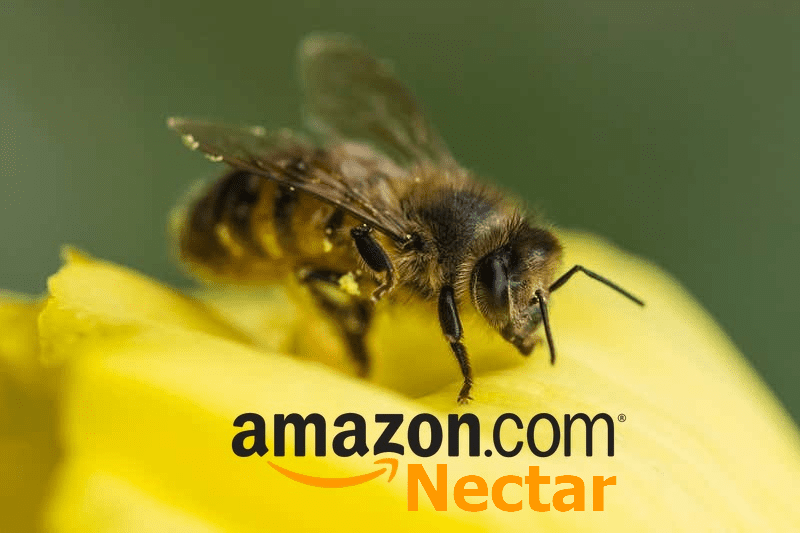 Amazon Nectar - New Product from Amazon....nothing to do with Bees