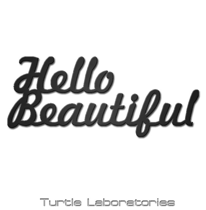 Hello Beautiful Turtle Laboratories