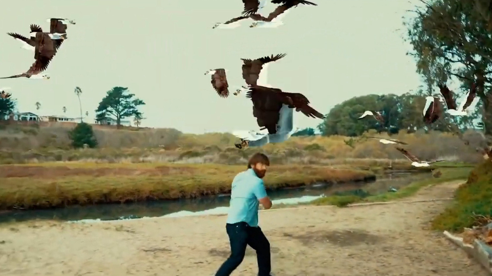 Fantastic Fest 2022: Birdemic 3: Sea Eagle – Good to Be Bad – The Twin ...