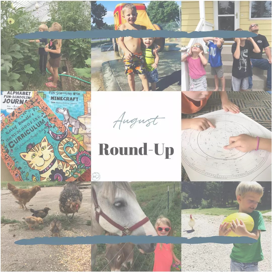 August Round-Up | routines lead the way for goals