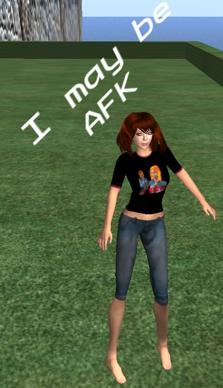 AFK in Second Life… | Thevendetta's Weblog