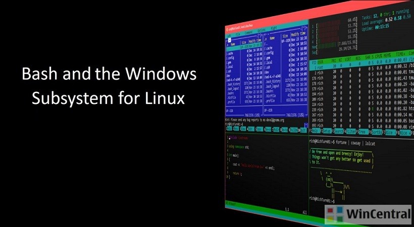 File System Improvements to the Windows Subsystem for Linux (WSL)