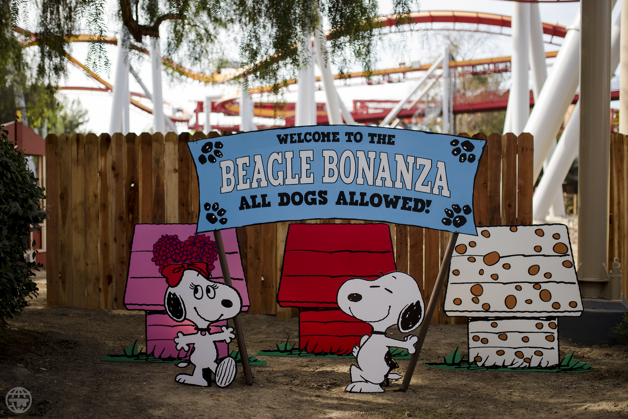 It’s a Peanuts Celebration, Charlie Brown! – WorldKey