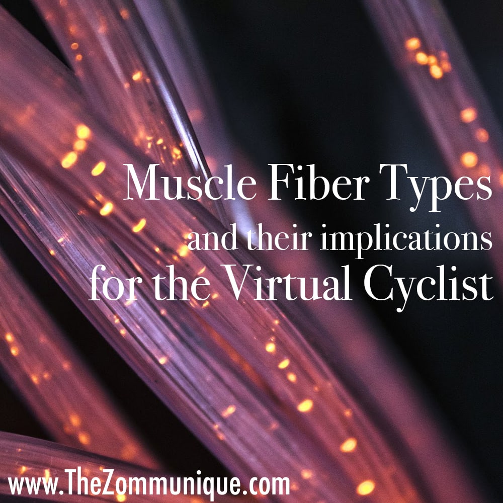 Muscle Fiber Types and other Basic Essentials for the Virtual Cyclist ...