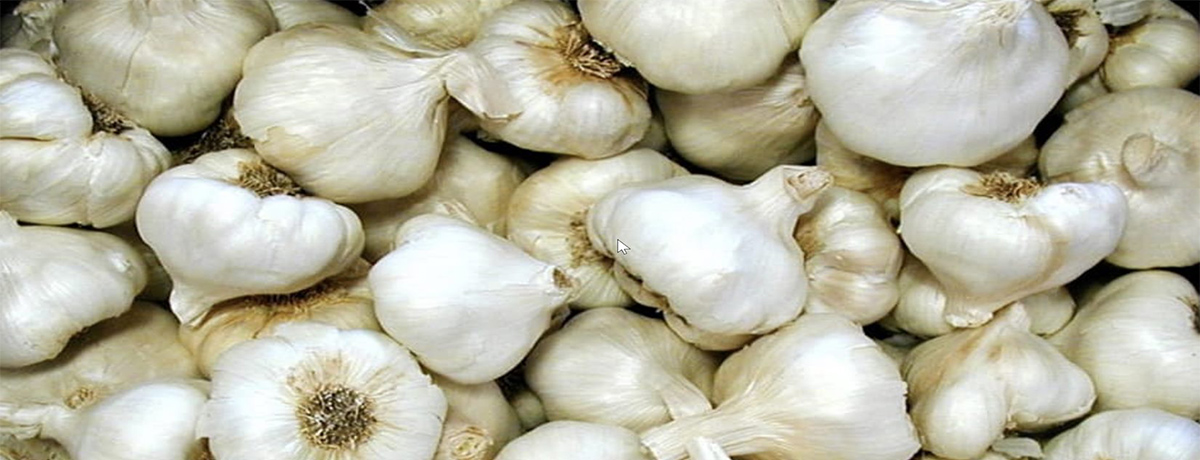 Top 5 Gilroy Garlic Recipes - ThinkFives