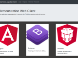 Thinkmicroservices Angular Application Client