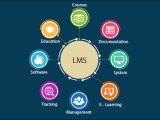 Learning Management Systems For Effective E Learning Thinkpalm