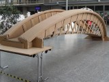 Cardboard Footbridge 2013 Thinkshell