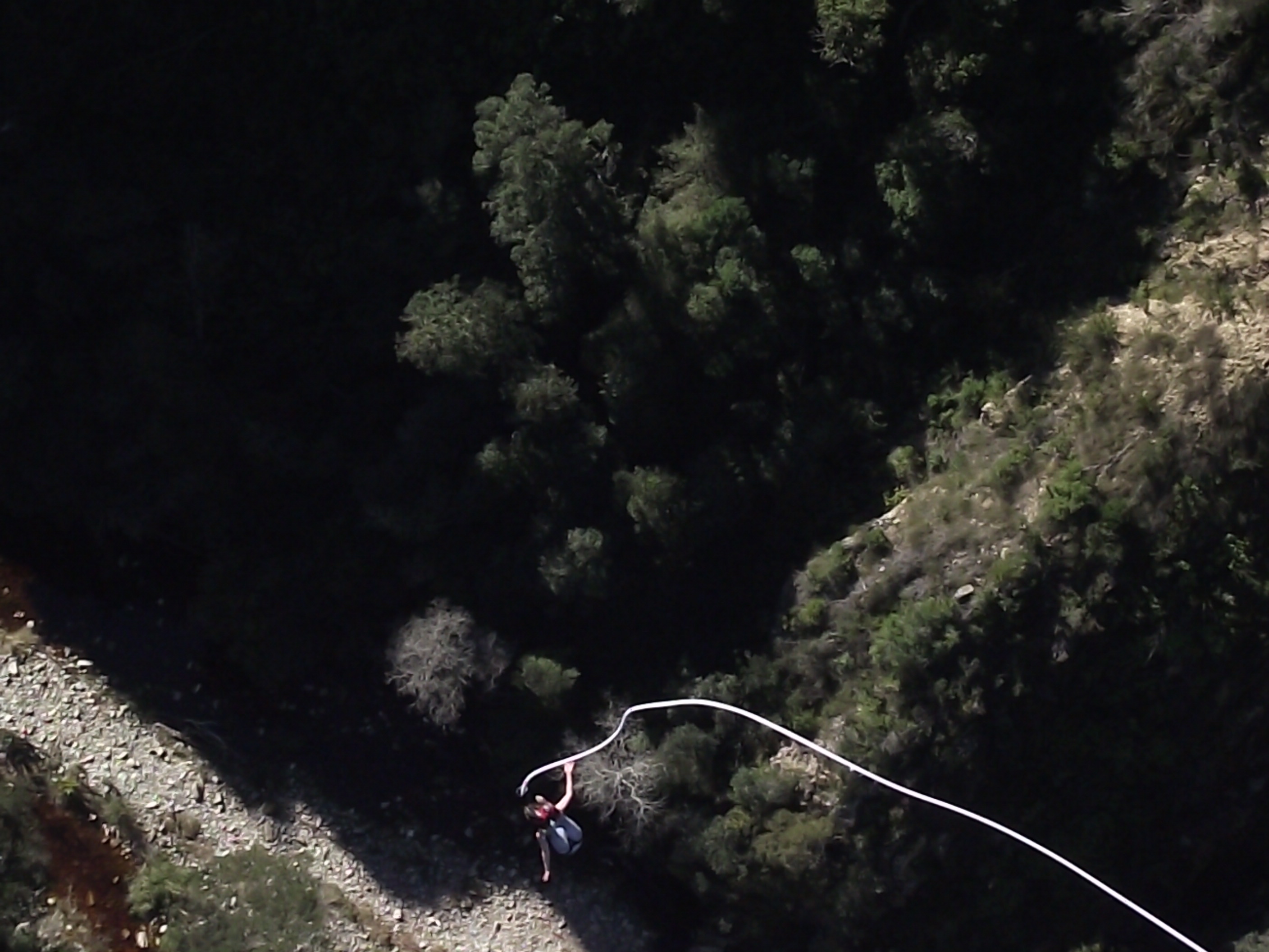 Bungy jumping