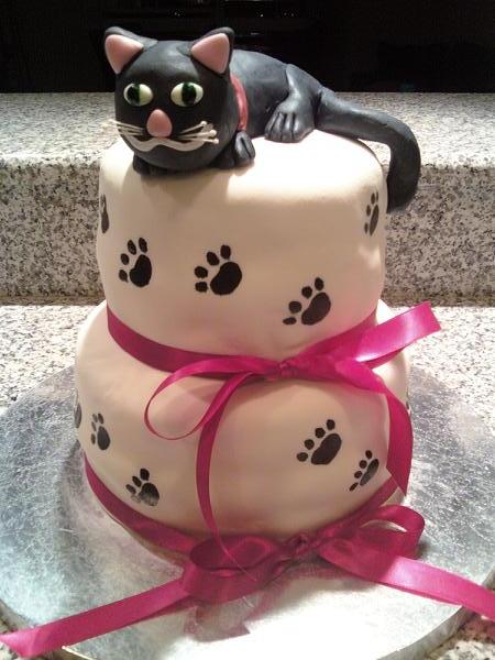 Cat Cakes