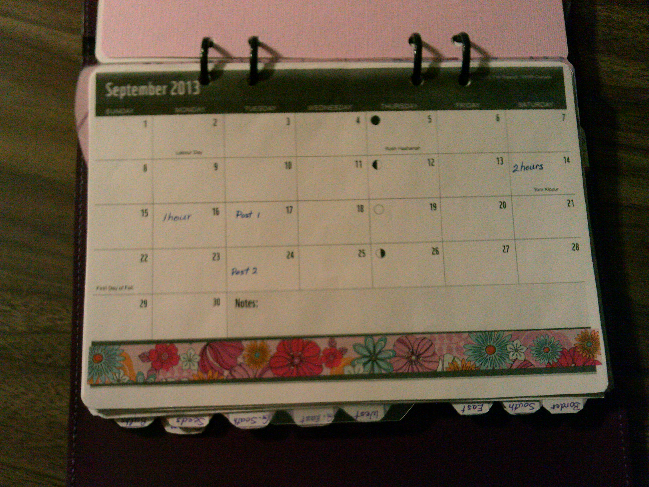 Using a ring organiser to plan your garden – Part 1