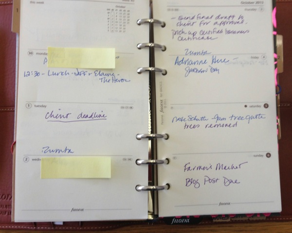 Post No. 3 for The Comparison Project