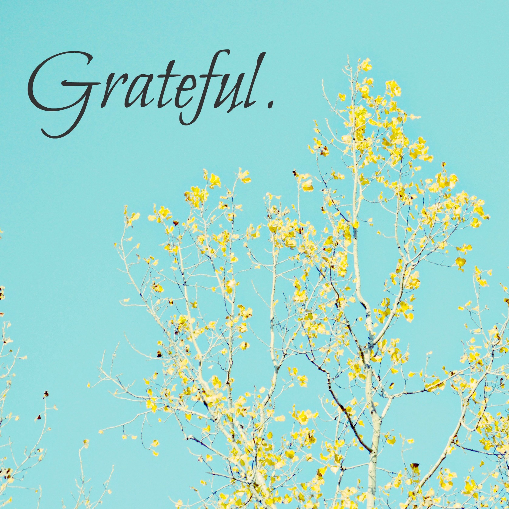 Grateful. - This Grateful Mama