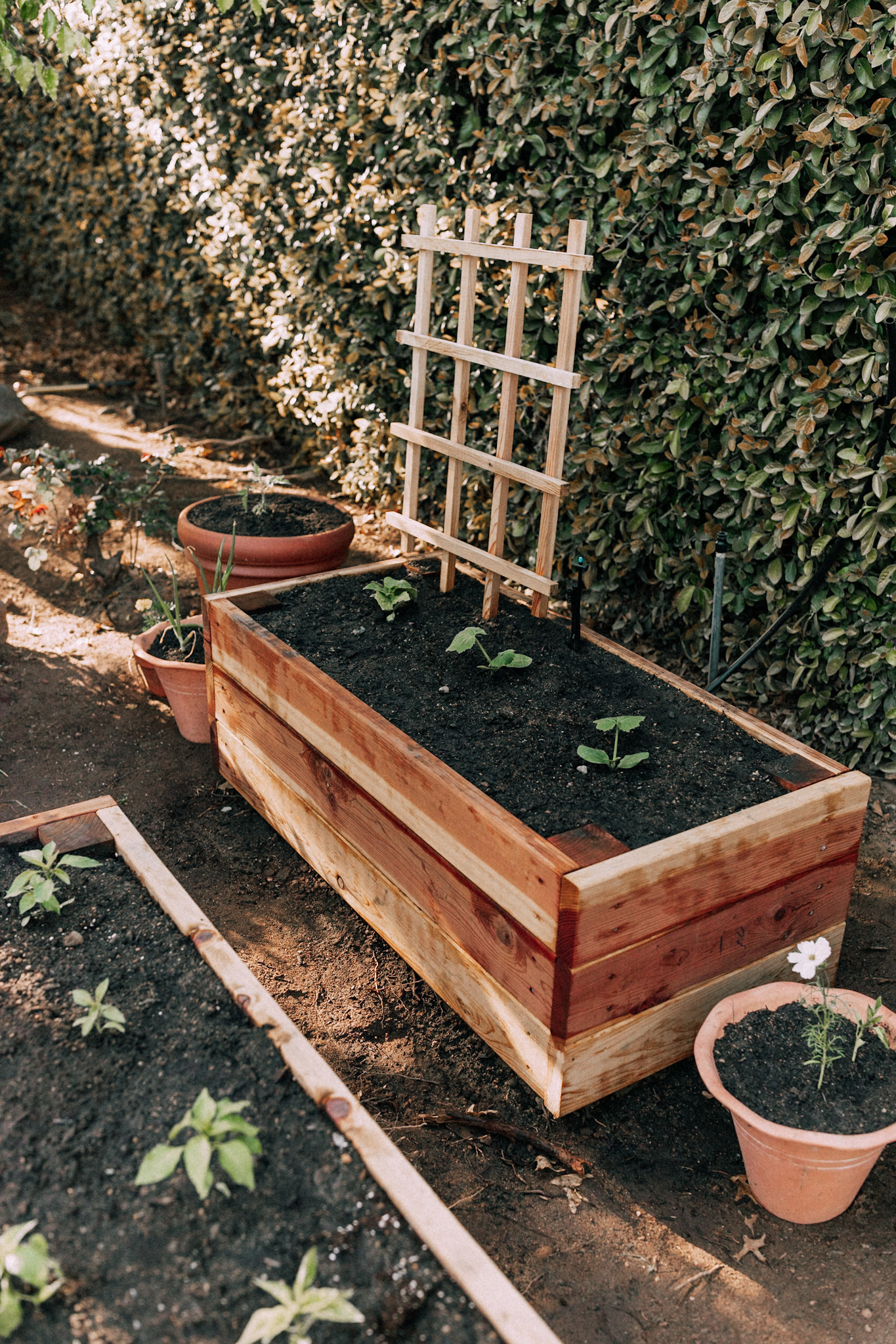 EASY DIY GARDEN BOX – This Rustic Soul