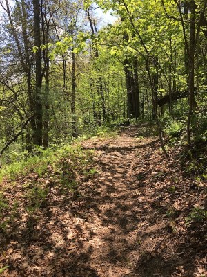 40 Hike Challenge: #11 - The Blue Ridge Escarpment - Cascades ...