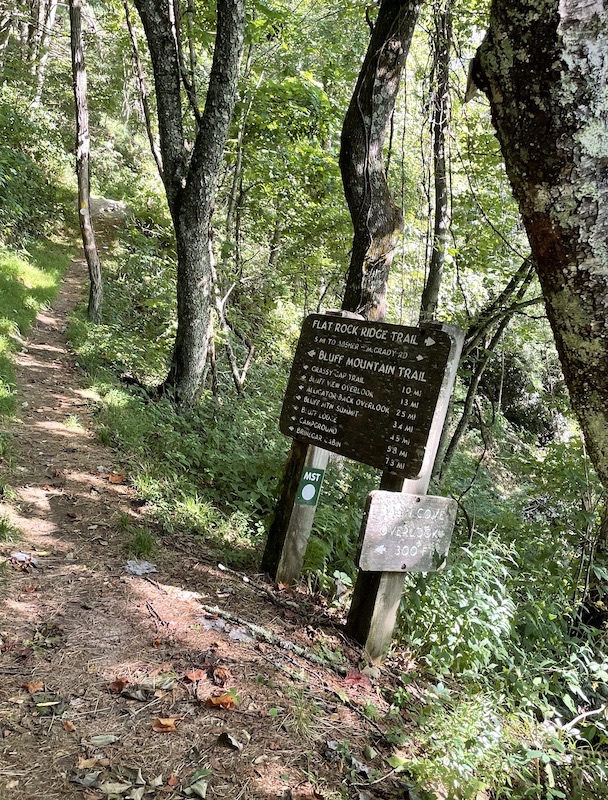 40 Hike Challenge: #12 The Bluff Mountain Trail - My Walk in the Woods