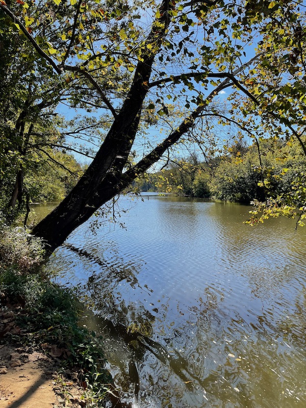 40 Hike Challenge: #19 The Haw River Trail - My Walk in the Woods