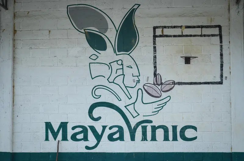 Checking in with Maya Vinic, One of Thread's Oldest Trading Partners – Thread Coffee Roasters ...