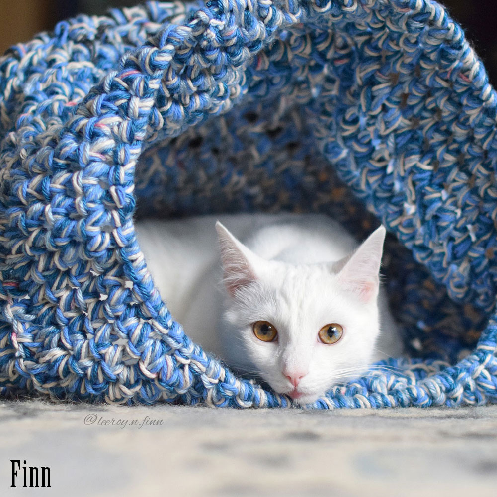 Yin Yang Kitty Bros: Leeroy and Finn - Three Chatty Cats