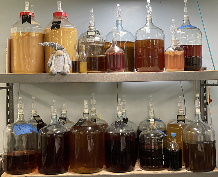 What’s Brewing – Three Sips Brewing