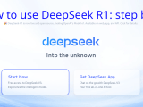 How To Use Deepseek R1 Effectively A Step By Step Guide