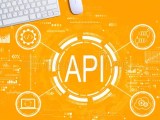 Api Application Programming Interface Concept With A Computer