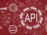 Api Application Programming Interface Concept With Person Using A