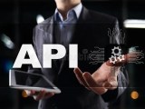 Api Application Programming Interface Concept With Person Working