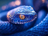 As A Symbol Of Coding And Data Manipulation A Snake Covered In Binary