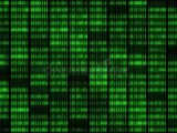 Digital Binary Data Streaming Code Background Stock Video Video Of