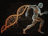 Genetic Programmer Creating New Algorithm For Complex Problem Using