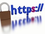 Https Secure Connection Stock Illustration Illustration Of Internet